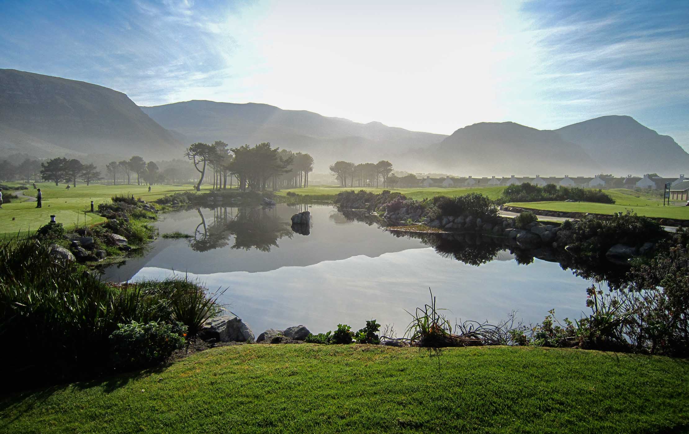 The Cape Floristic Region - Africa Destinations - Micato Safaris