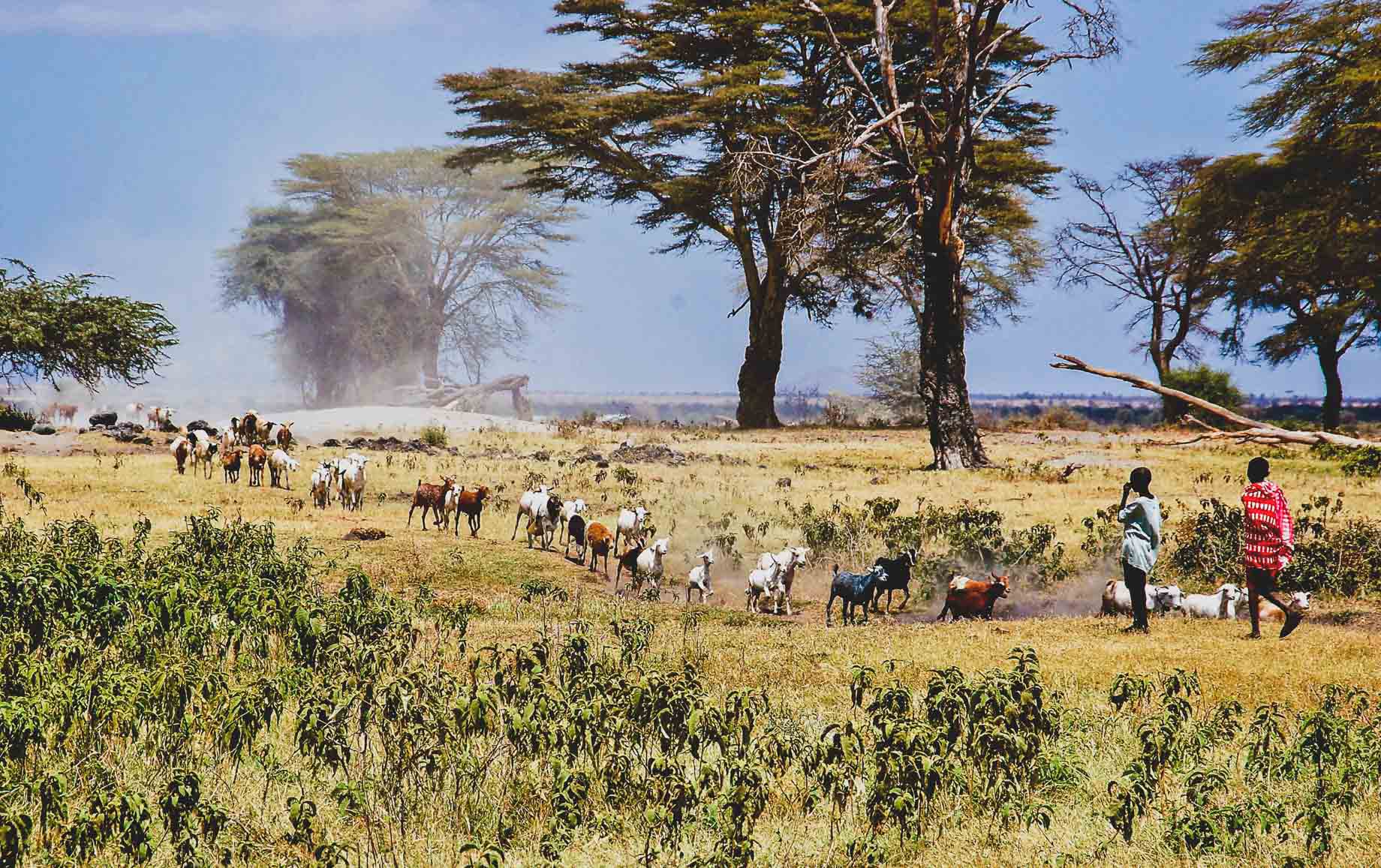 The African People - Micato Luxury African Safaris