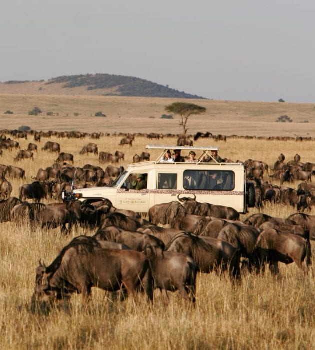 Submit a Photo - Micato Photo Contest - Micato Luxury Safaris