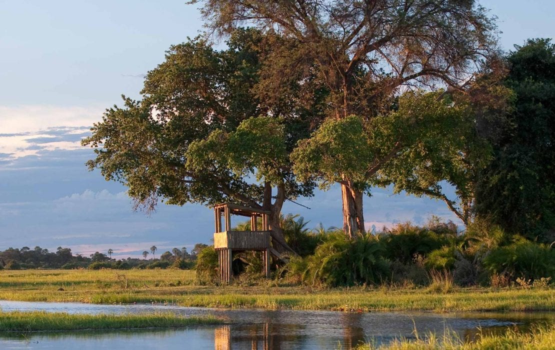 Moremi Game Reserve - Africa Destination - Micato Safaris
