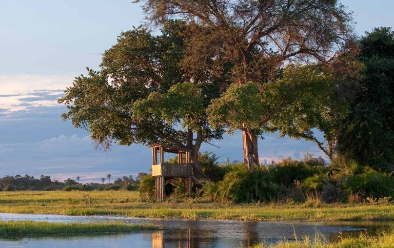 Moremi Game Reserve - Africa Destination - Micato Safaris