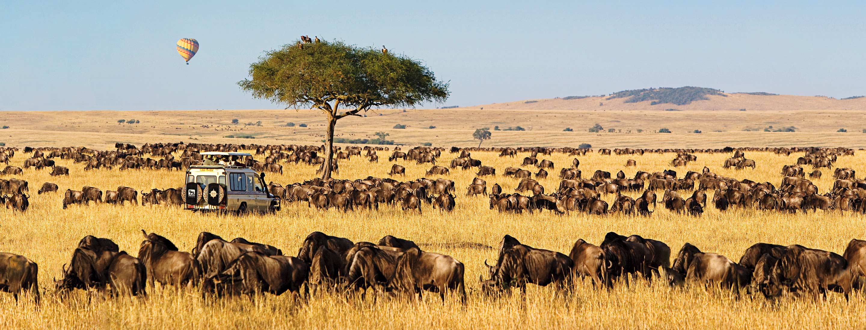 Vehicles & Transportation - Micato Luxury African Safaris