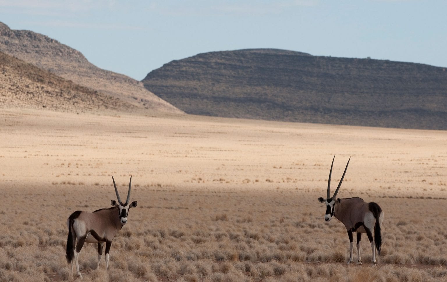 Namibia - Options & Extensions - Micato Luxury Africa Safaris