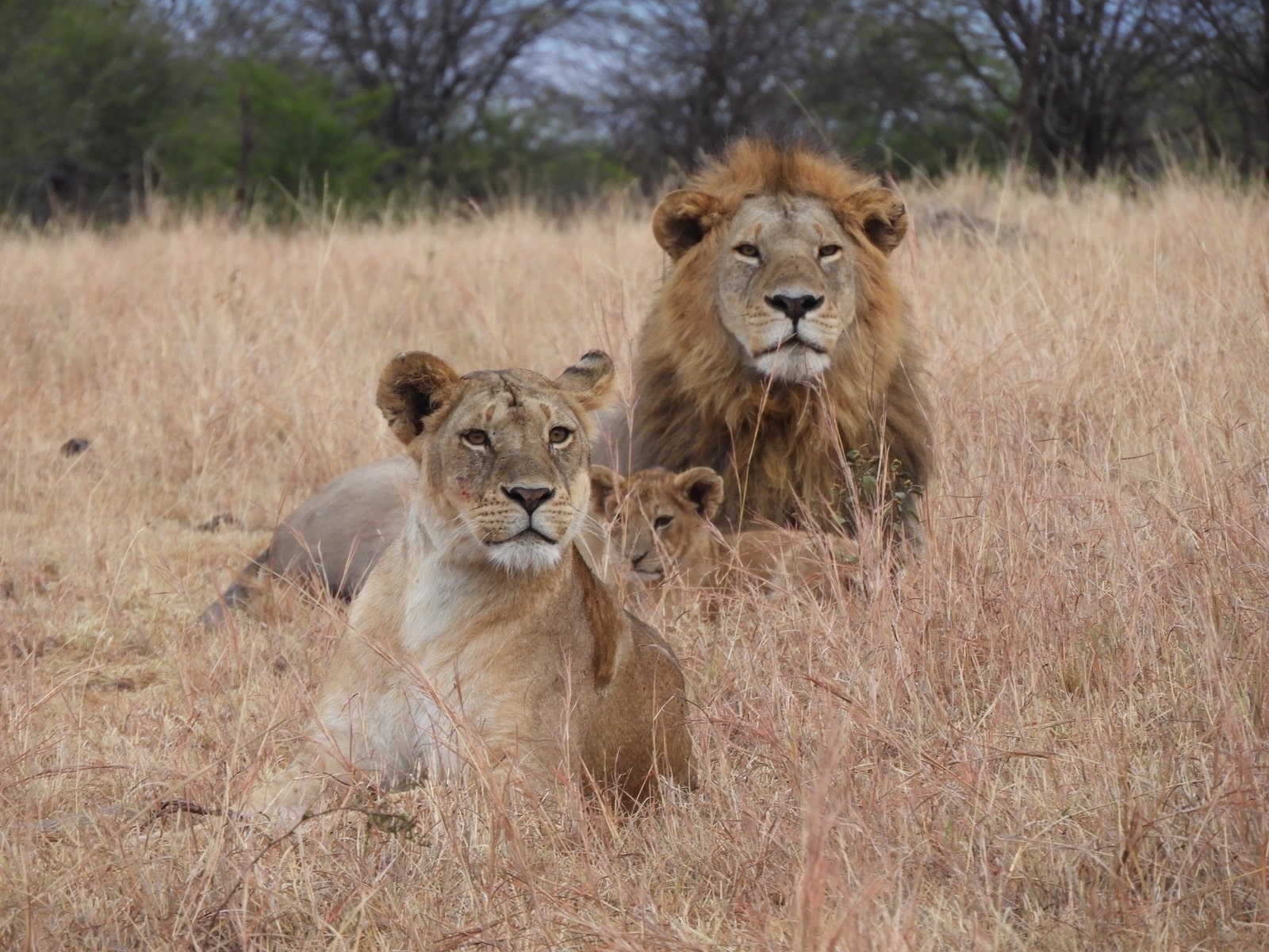 Micato Safaris Photo Contest Winners of 2018 | Micato Safaris