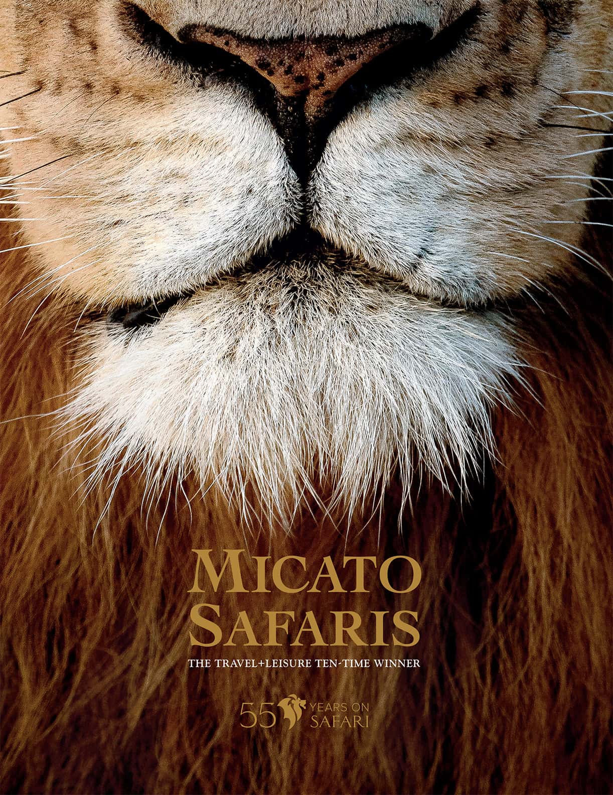 Request a Free Luxury African Safari Brochure | Micato Safaris