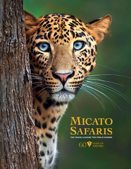 Request a Free Luxury African Safari Brochure | Micato Safaris